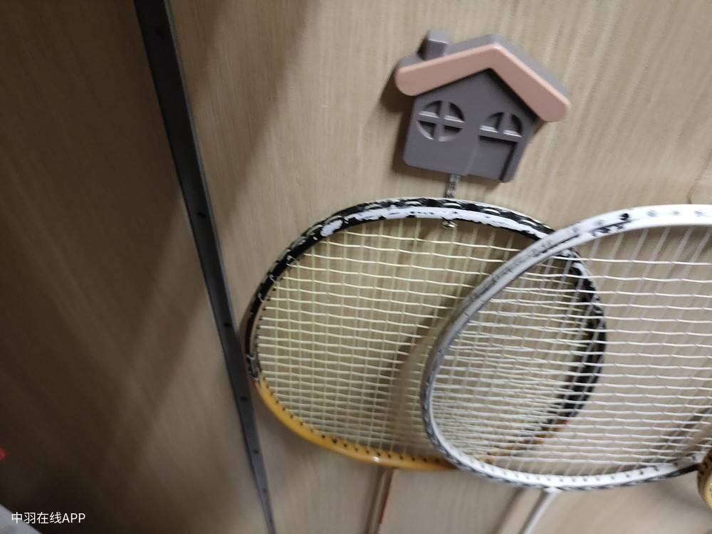 评价 MUSCLE POWER 99怎么样？