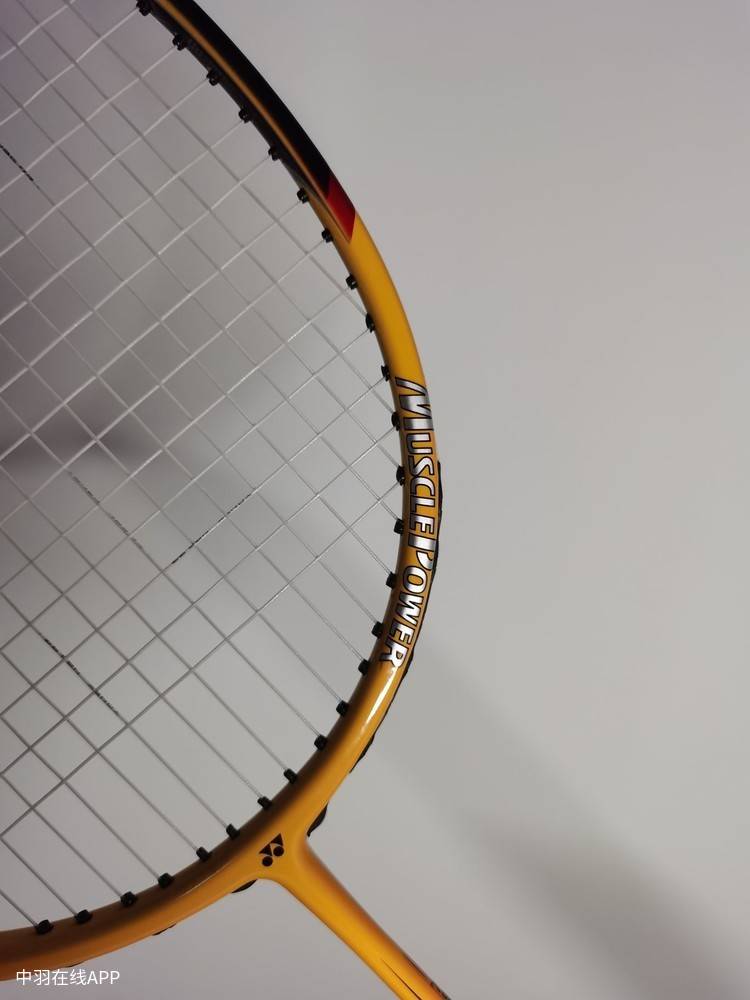 评价 MUSCLE POWER 99怎么样？