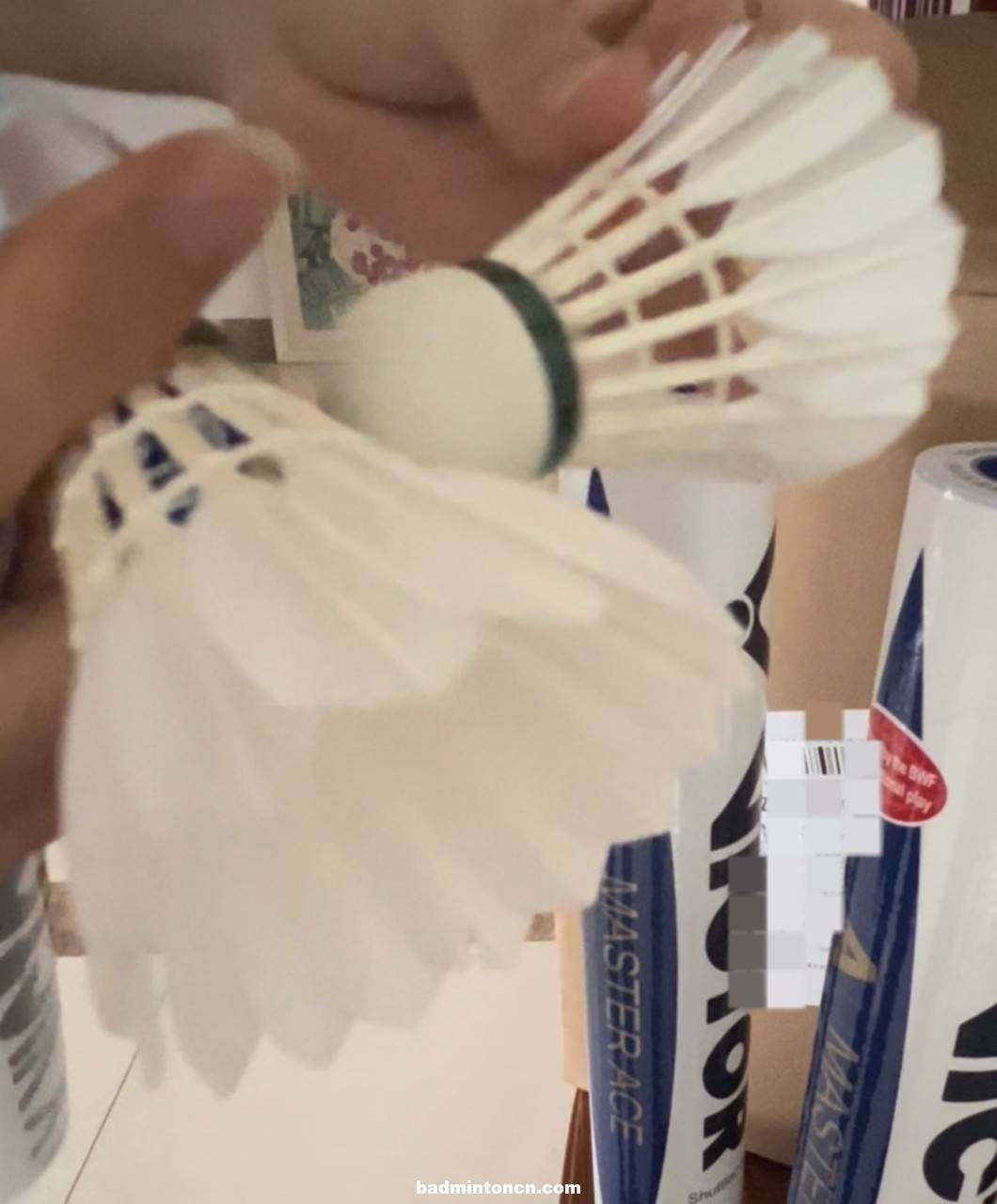 评价 MASTER ACE怎么样？