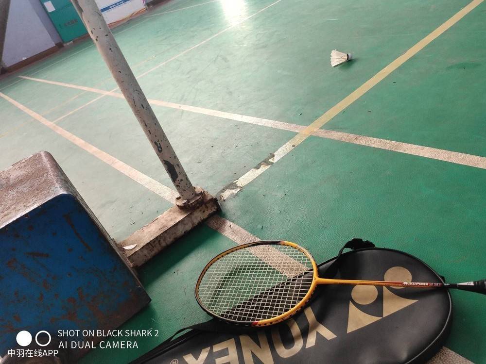 评价 MUSCLE POWER 99怎么样？