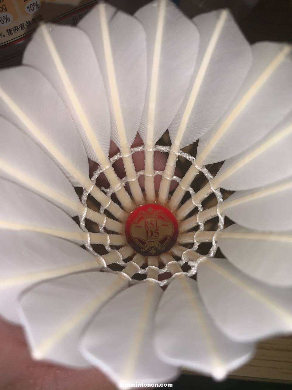 D5 亚狮龙D5 羽毛球 亚狮龙RSL 中羽在线 badmintoncn.com