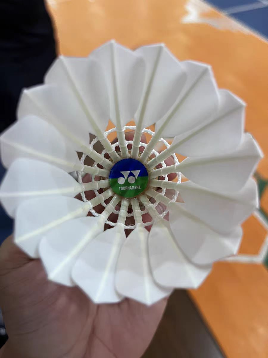 F-90 F90 羽毛球 尤尼克斯YONEX 中羽在线 badmintoncn.com