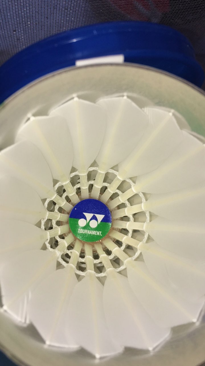 F-90 F90 羽毛球 尤尼克斯YONEX 中羽在线 badmintoncn.com