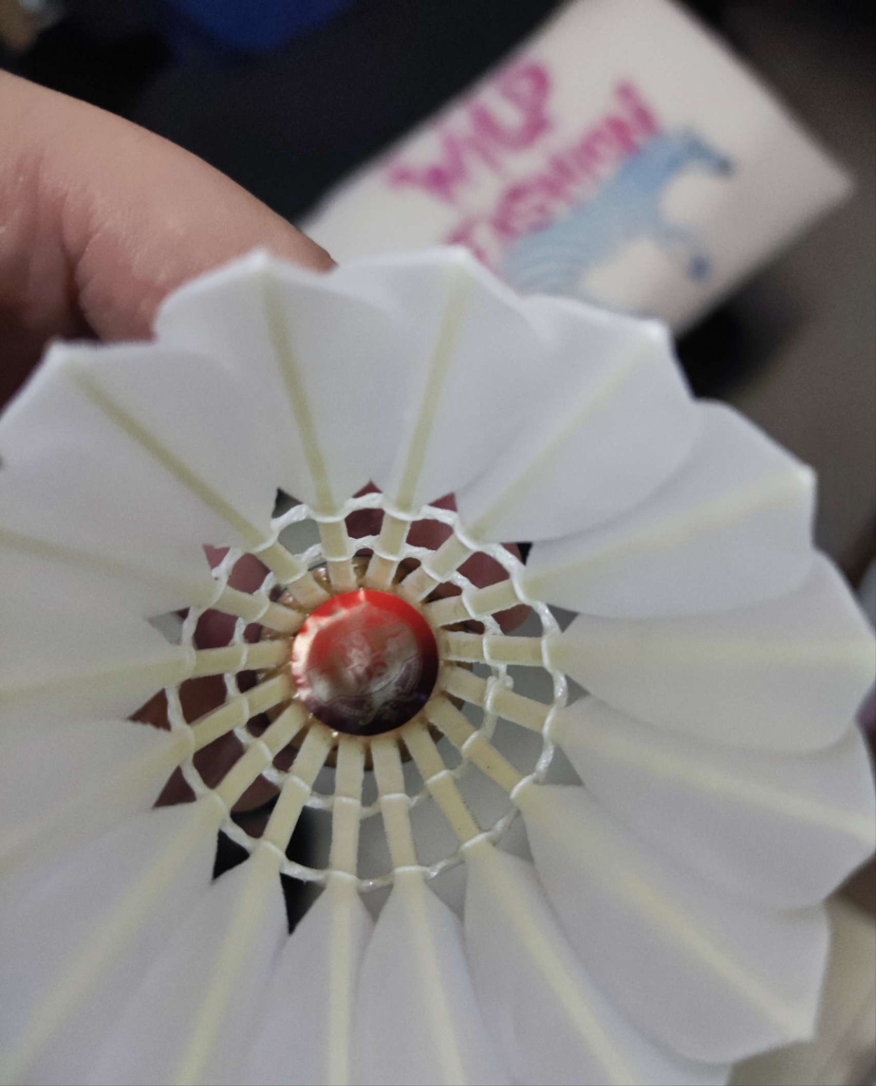 RSLD5 亚狮龙D5 羽毛球 亚狮龙RSL 中羽在线 badmintoncn.com