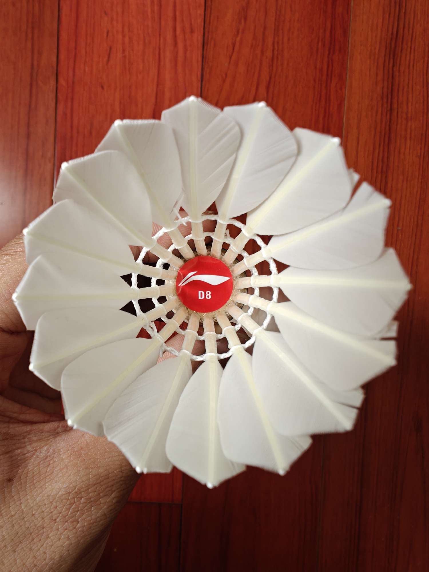 D8 AYQR028 羽毛球 李宁Lining D系列 中羽在线 badmintoncn.com