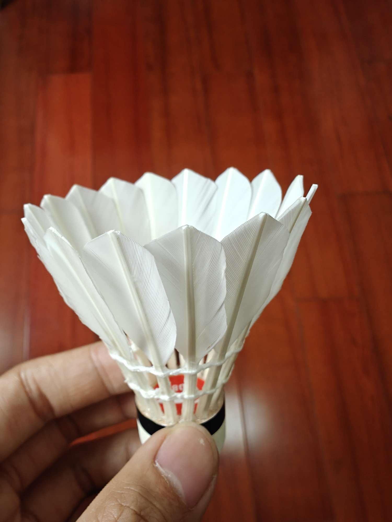 D8 AYQR028 羽毛球 李宁Lining D系列 中羽在线 badmintoncn.com